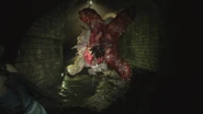 Hunter γ | Resident Evil Wiki | Fandom