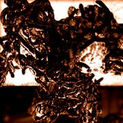 Uroboros Tyrant | Resident Evil Fanon Wiki | Fandom