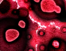 Eclipse Virus | Resident Evil Fanon Wiki | Fandom