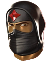 Ninja Master | Respawnables Wiki | Fandom