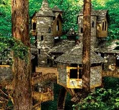 Anti pouch tree house | Disrespectiods Wiki | Fandom