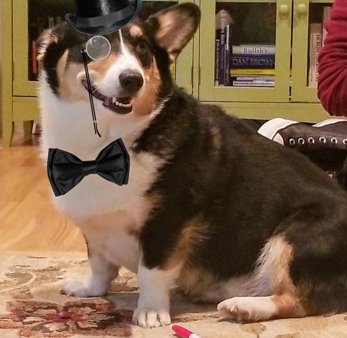 Ryan Stewart | Respublica Wiki | Fandom