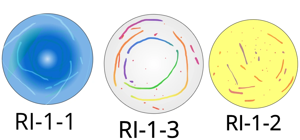 RI-1 | Restricted Section Wiki | Fandom