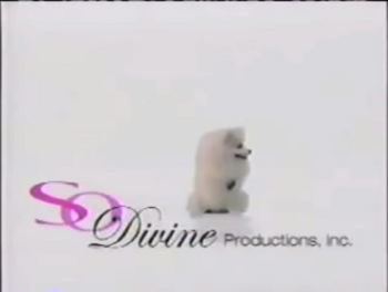 SO Divine Productions | Retro Logos Wiki | Fandom