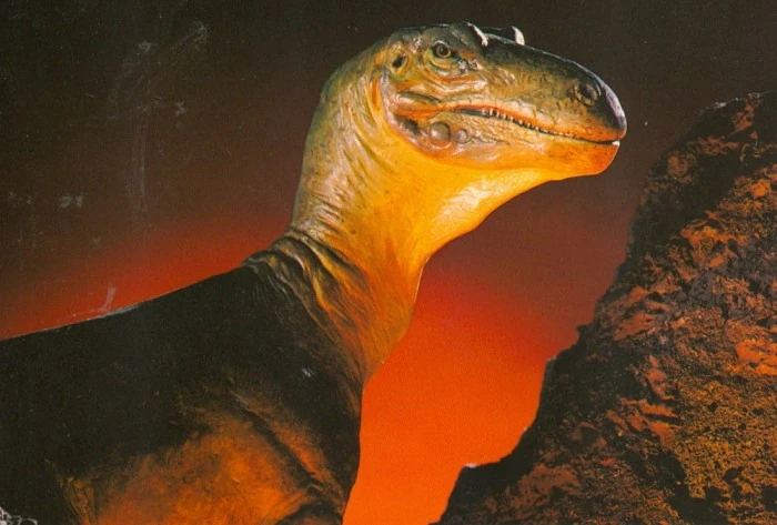 Allosaurus | Retrosauria Wiki | Fandom