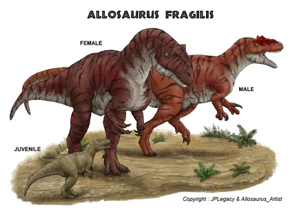 Allosaurus fragilis | Return to New Lands Wikia | Fandom