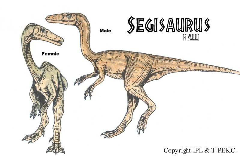 Segisaurus halli | Return to New Lands Wikia | Fandom