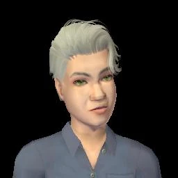 Stefan Wu | Revale Wiki | Fandom