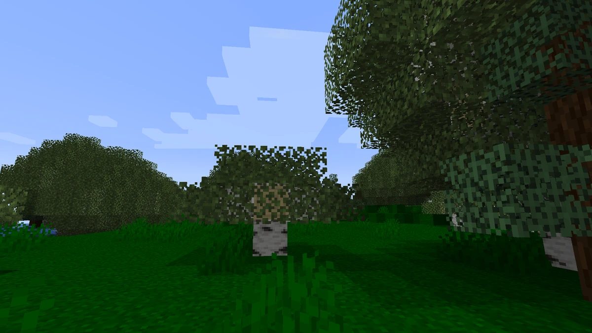 Category:Cold Swamp | Revamped Biomes Wiki | Fandom