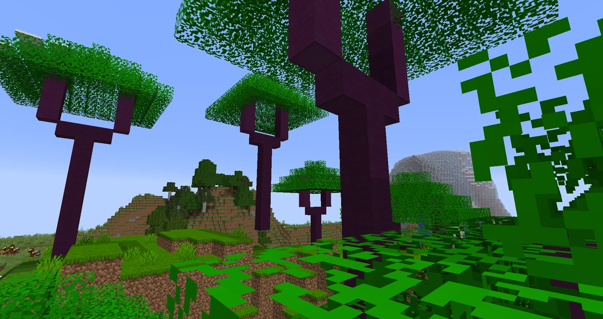 Rainforest | Revamped Biomes Wiki | Fandom