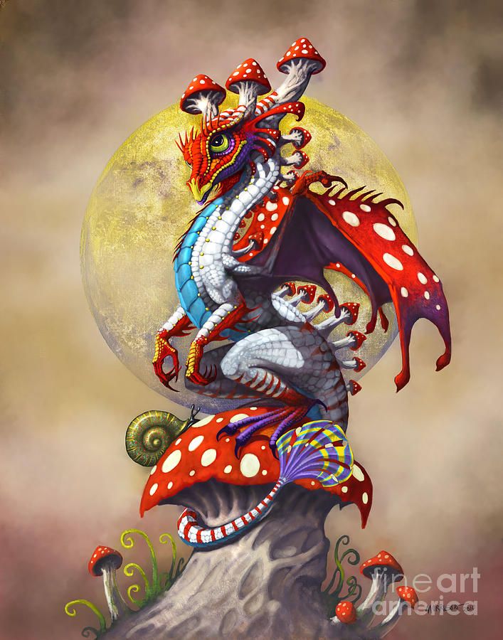 Drachenmorchel Revaria Wiki Fandom