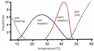 Paradoxical Cold | The Revengerists Consortium of Stuff Wiki | Fandom