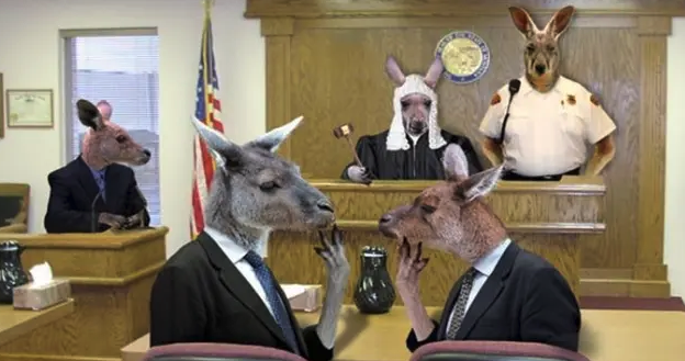 Kangaroo Court The Revengerists Consortium Of Stuff Wiki Fandom