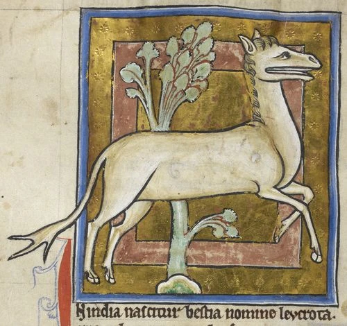 The Leucrota | The Revengerists Consortium of Stuff Wiki | Fandom