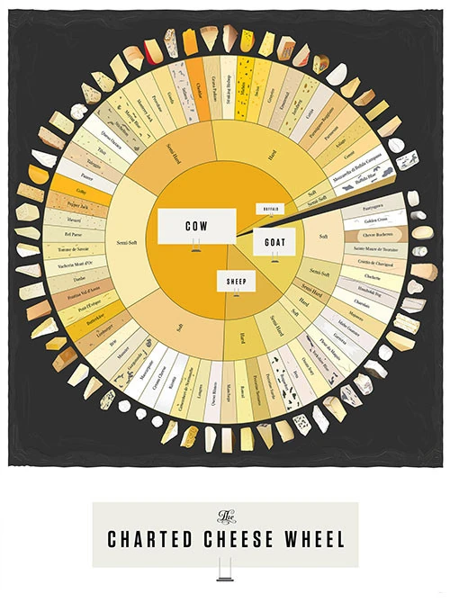 Cheese | The Revengerists Consortium of Stuff Wiki | Fandom