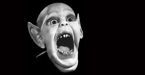 Batboy | The Revengerists Consortium of Stuff Wiki | Fandom