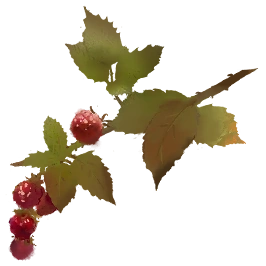 Alpine Raspberry | Reverse: 1999 Wiki | Fandom