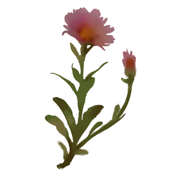 Alpine Aster | Reverse: 1999 Wiki | Fandom