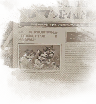 A Blank Space | Reverse: 1999 Wiki | Fandom