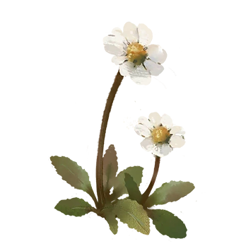 Dryas Octopetala | Reverse: 1999 Wiki | Fandom