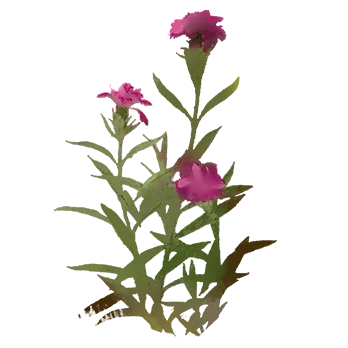 Alpine Pink | Reverse: 1999 Wiki | Fandom