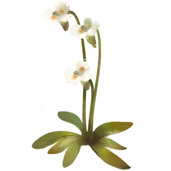 Alpine Butterwort | Reverse: 1999 Wiki | Fandom