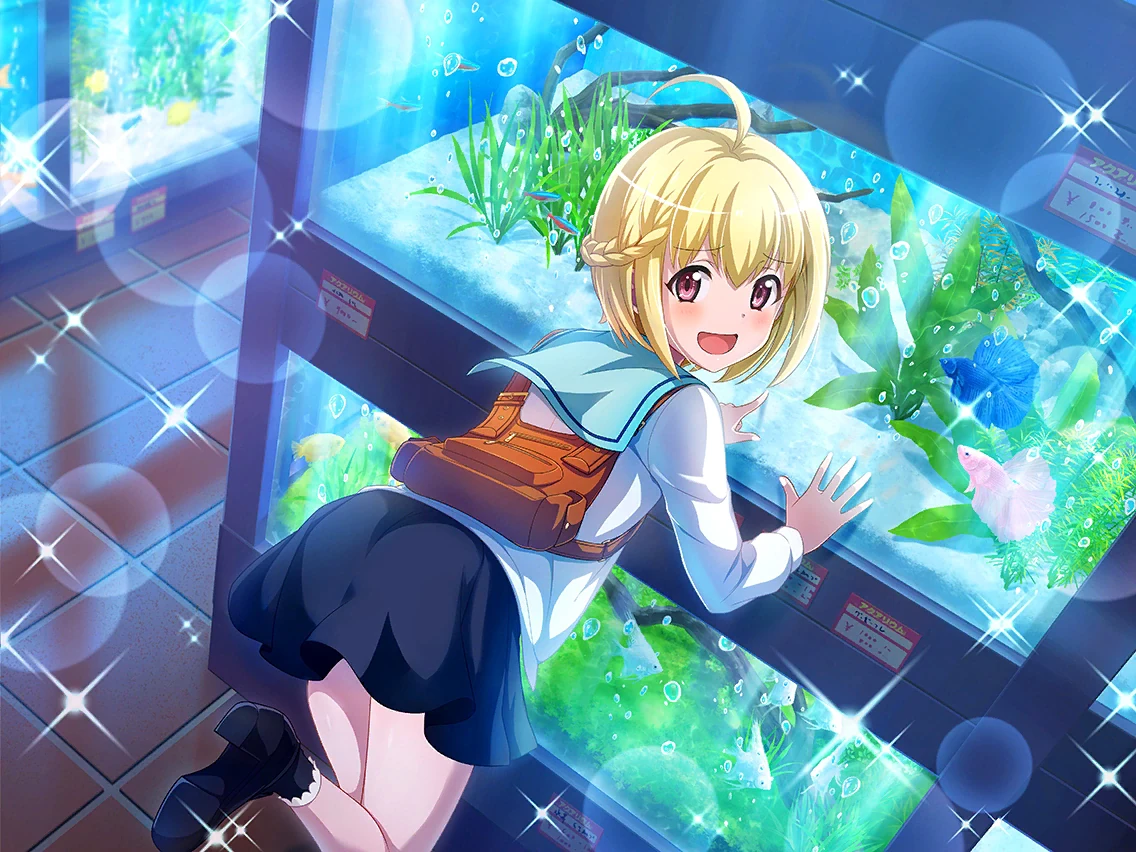 Glittering Fish Tanks, Glittering Eyes | Revue Starlight Wiki | Fandom