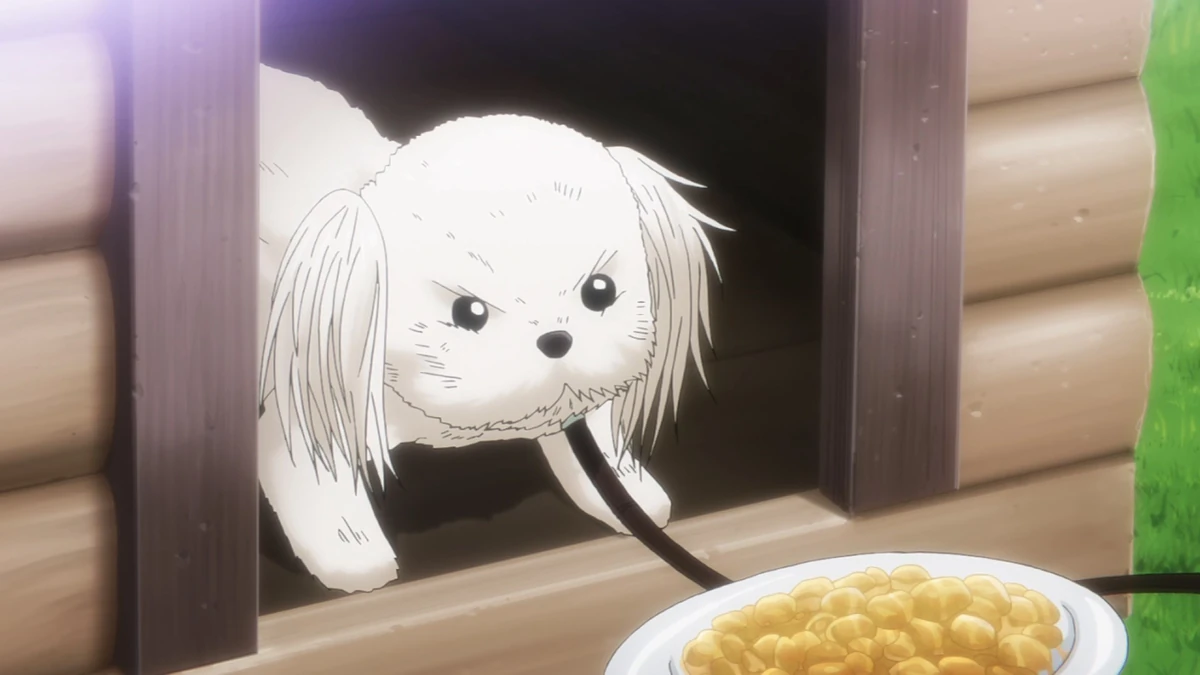 Pero | Wiki Rewrite | Fandom