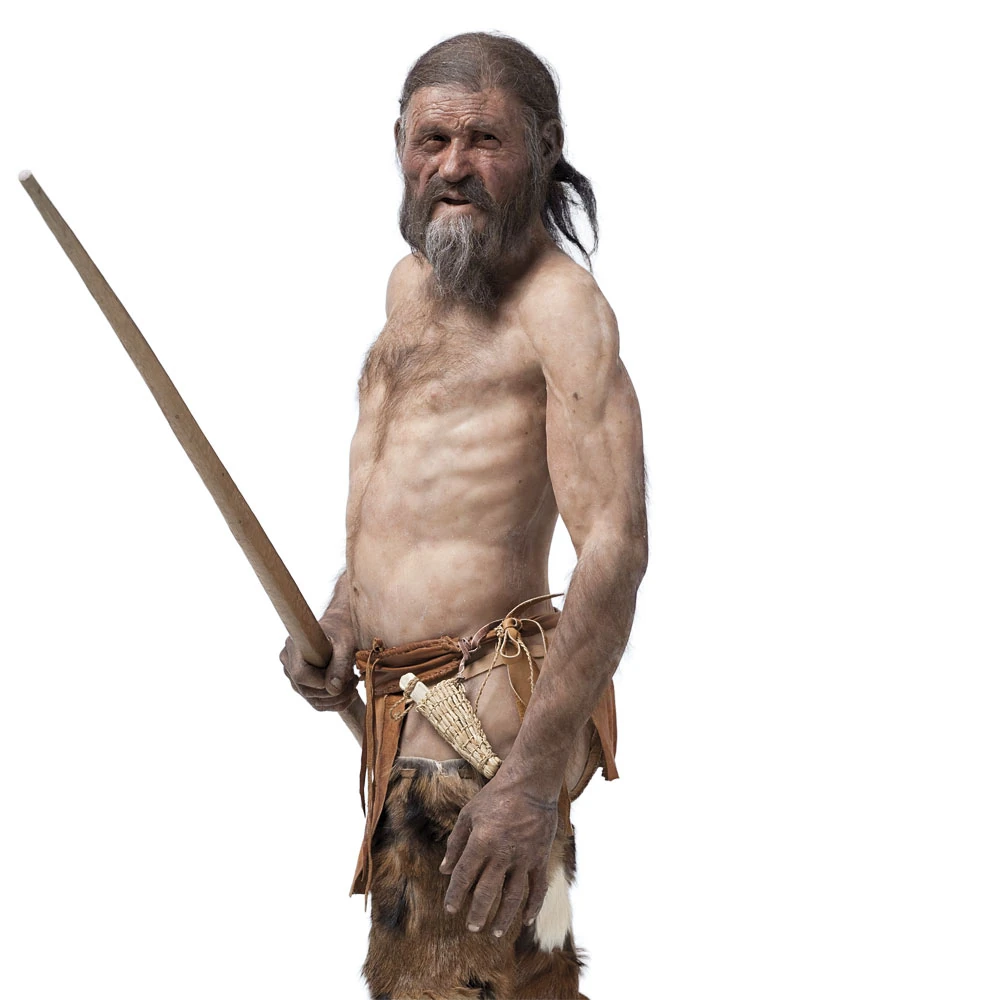 Ötzi The Iceman | Reynolds History Wiki | Fandom