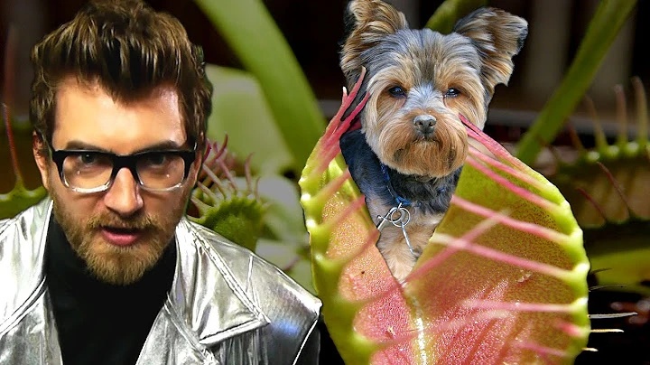 Dog-Eating Plants | Rhett and Link Wiki | Fandom