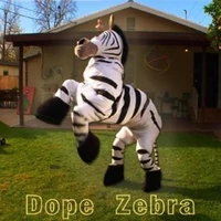 Dope Zebra | Rhett and Link Wiki | Fandom