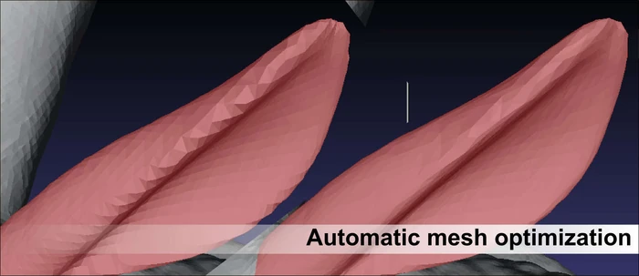 MeshTools/MeshLab | RhinoDOC Wiki | Fandom