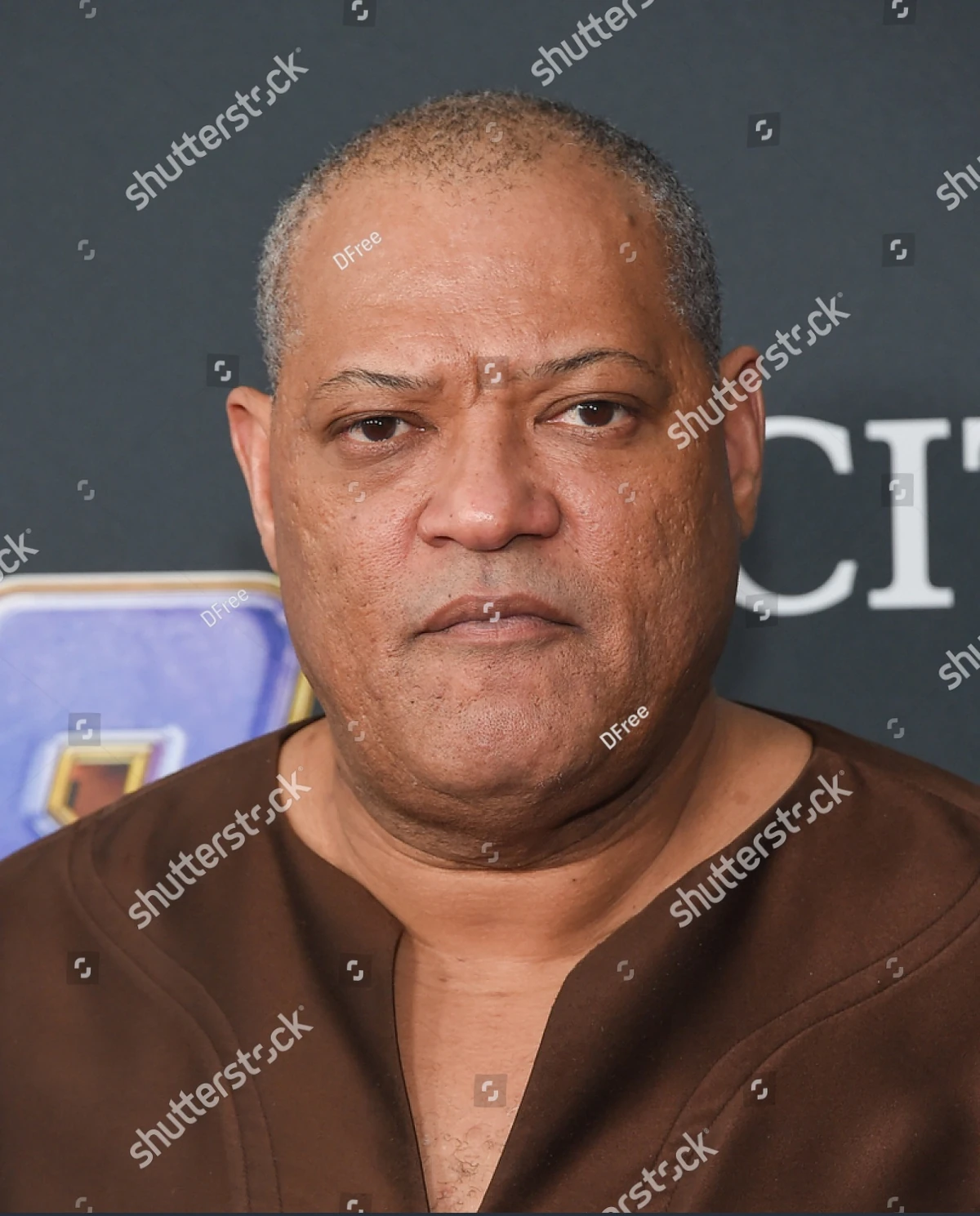 Laurence Fishburne | Richard Rich Wiki | Fandom