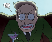 Doofus Jerry | Rick and Morty Wiki | Fandom