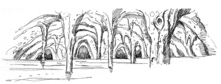 Other South American Locations/South American Genesis Pit Gallery ...