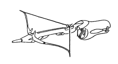 War Crossbow | Robotech Reference Guide | Fandom