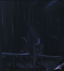 Bioraptor | Riddick Wiki | Fandom