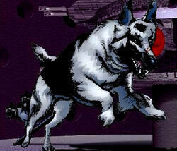 Dog | Riddick Wiki | Fandom