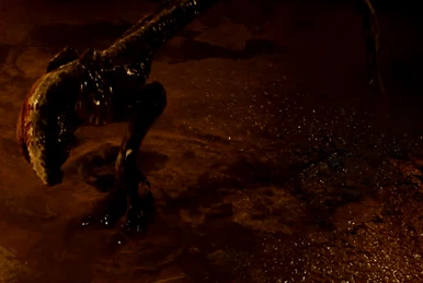 Bioraptor De Tono Negro
