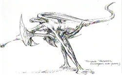 Bioraptor De Tono Negro