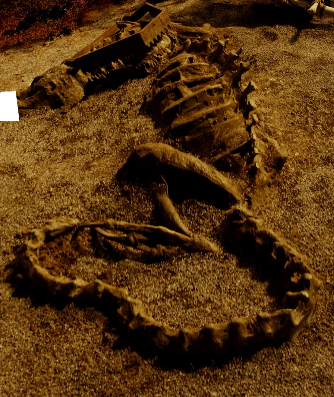 Not-Furya Skeleton | Riddick Wiki | Fandom