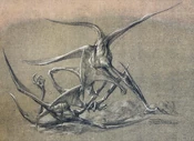 Bioraptor | Riddick Wiki | Fandom