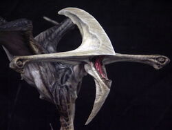 Bioraptor | Riddick Wiki | Fandom