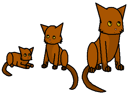 Toadie | Writings for Me Wiki | Fandom