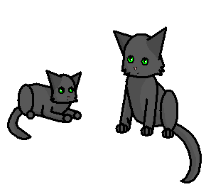 Cinderpaw | Writings for Me Wiki | Fandom