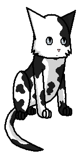 Streak | Writings for Me Wiki | Fandom