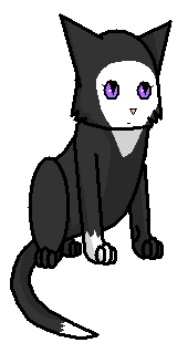 Interview-Sable | Writings for Me Wiki | Fandom