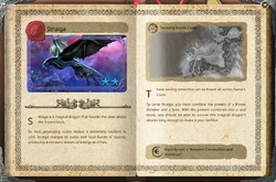 Straiga - Official Riders of Icarus Wiki