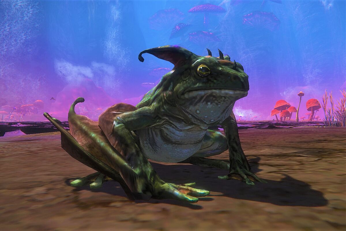 Proad Official Riders Of Icarus Wiki