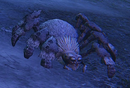 Undead Spider - Official Riders of Icarus Wiki